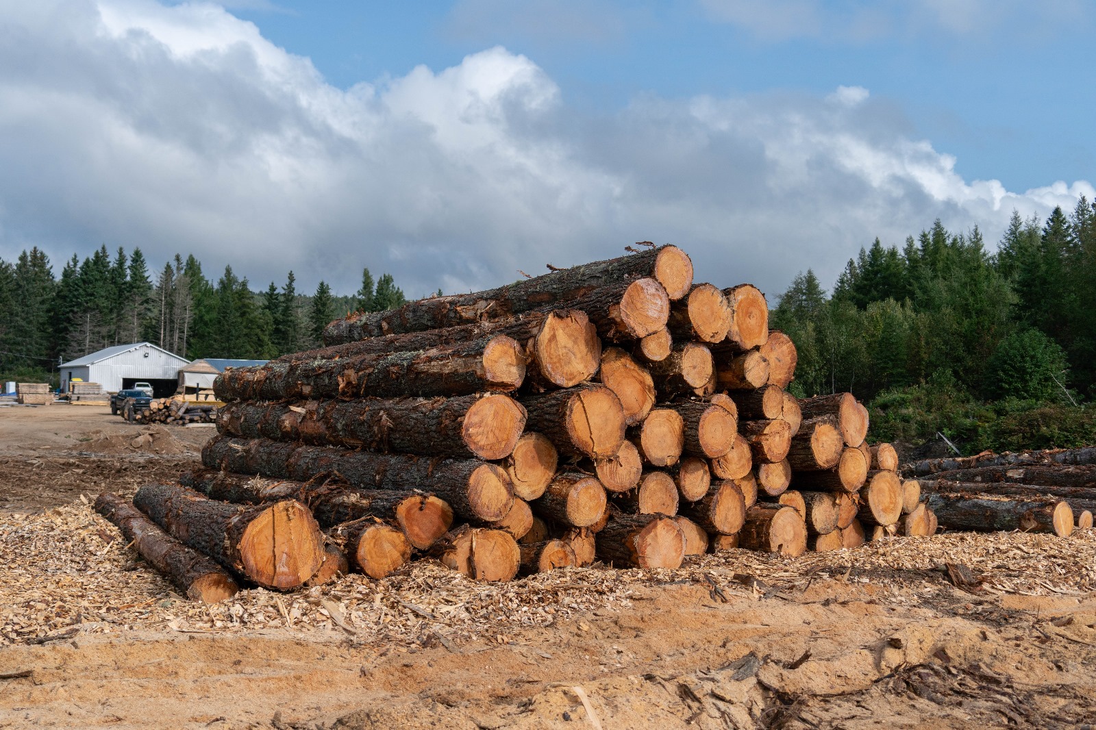 Wood Siding, Custom Timbers & Canadian Lumber Exports
